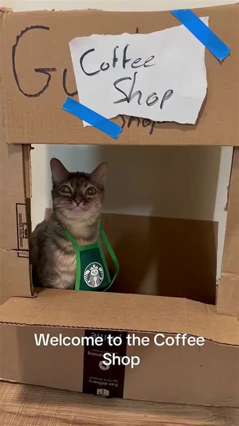 Gumbus Shop Is Open Album On Imgur