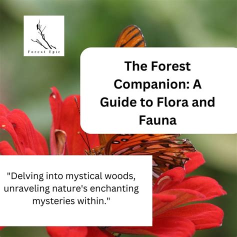 The Forest Campaign William S Medium