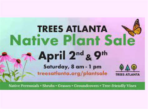Atlanta Area Spring 2022 Native Plant Sales And Nurseries