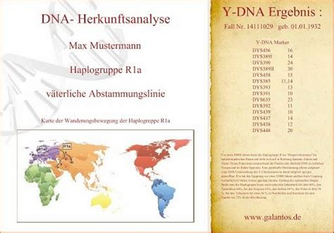 Paternal Y Dna Migration Map Results Example