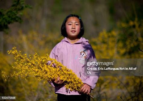 North Hamgyong Province Photos And Premium High Res Pictures Getty Images