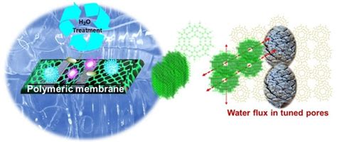 Optimized Polymeric Membranes For Water Treatment Fabrication Morphology And Performance