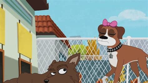 Watch Pound Puppies S01e01 The Yipper Caper Free Tv Shows Tubi