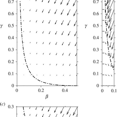 A Numerical Phase Space Diagram With Phase Directions And Magnitudes