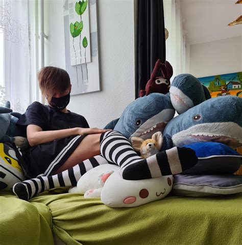 Somehow my Blåhajs always want to be on pictures : r/BLAHAJ