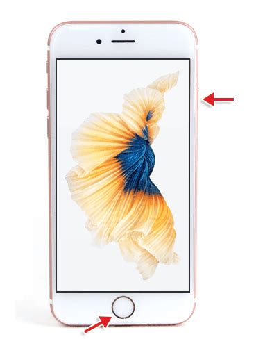 Tips To Fix IPhone Lagging After Update