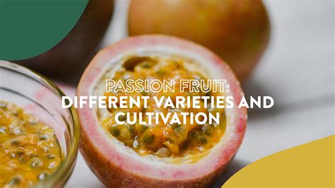 Passion Fruit Different Varieties And Cultivation — El Frutal