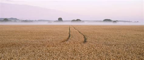 Scraping The Surface Of Web Scraping What Fintech Companies Should Consider When Harvesting