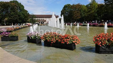 上野恩賜公園の噴水 No 2987076｜写真素材なら「写真ac」無料（フリー）ダウンロードok