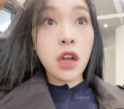 살구 타임 연예인잡담 에펨코리아