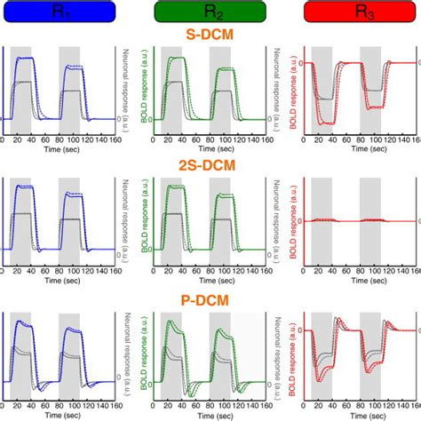 Responses For Neuronal Cbf Cbv And Bold Signals To A 30s Sustained