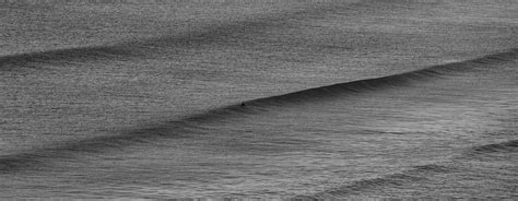 Céline Regnier Avocate Au Barreau De Bayonne