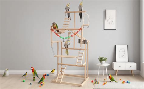 Parrot Playstand Bird Playground Papagei Vogel Spielplatz Papageien Vogelständer