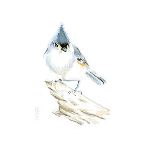 Tufted Titmouse Art Print Etsy