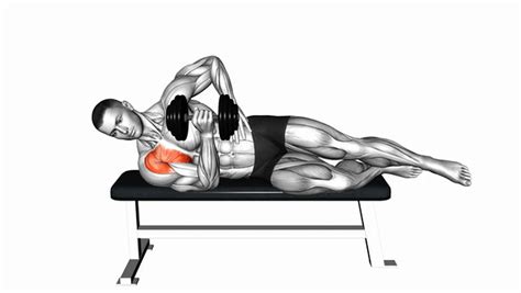 Dumbbell Side Lying Internal Rotation Exercise Guide How To Muscles