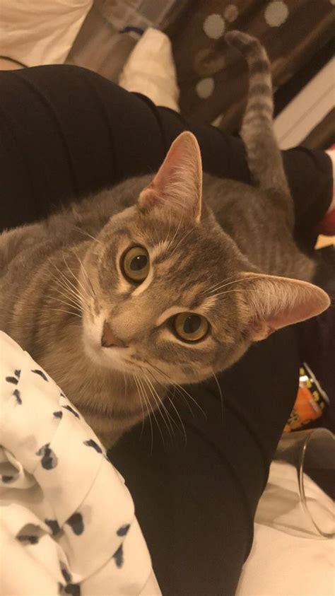 Cleo Has The Most Beautiful Eyes