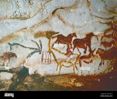 Ancient Cave Art France At Evelyn Turner Blog