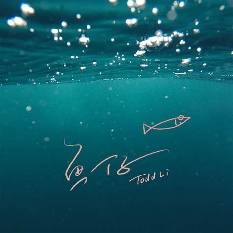 鱼仔 Youtube Music