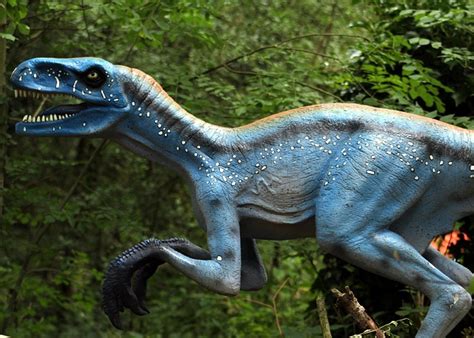 2000 Free Dinosaurs And Fossil Images Pixabay