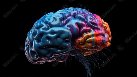 Ppt Brain Anatomy Powerpoint Presentation Free Download