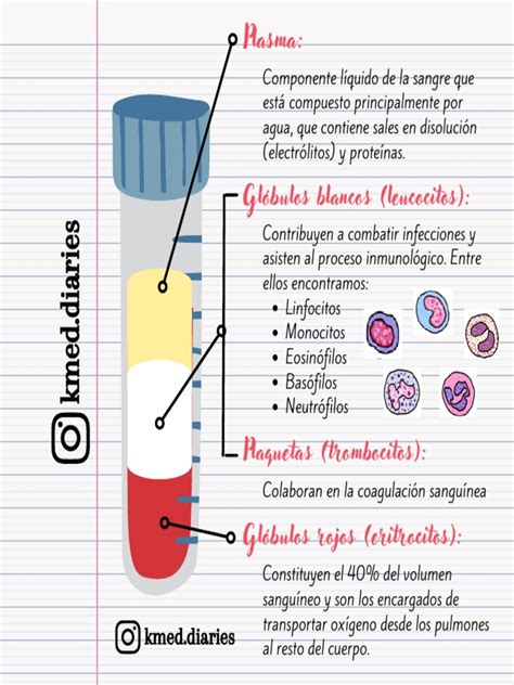 Componentes De La Sangre Pdf