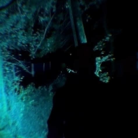 Miguel Proença Youtube