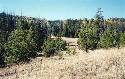 Oregon Unit 50 Desolation Unit Profile Gohunt The Hunting Company