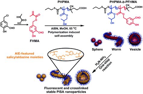 Fabrication Of Salicylaldehyde Functionalized Polymeric Nano Objects By Download Scientific