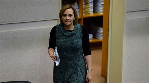 Bianchi Goic E Ignacio Walker Los Votos Que Serán Clave Para La Causal De Violación En El