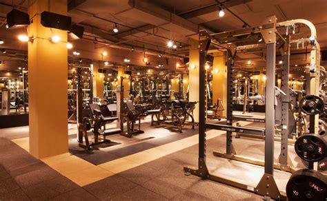 Tmpl Gym Allertonfox Construction