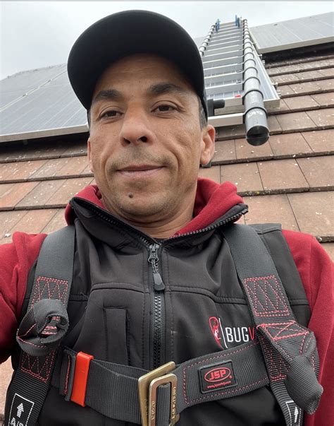 Wasp Species And Behavior Guide Identify Uk Wasps Easily