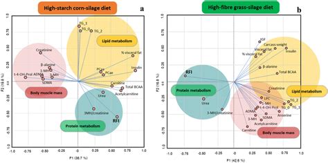Loading Plots Of Principal Component Analysis Conducted A Posteriori