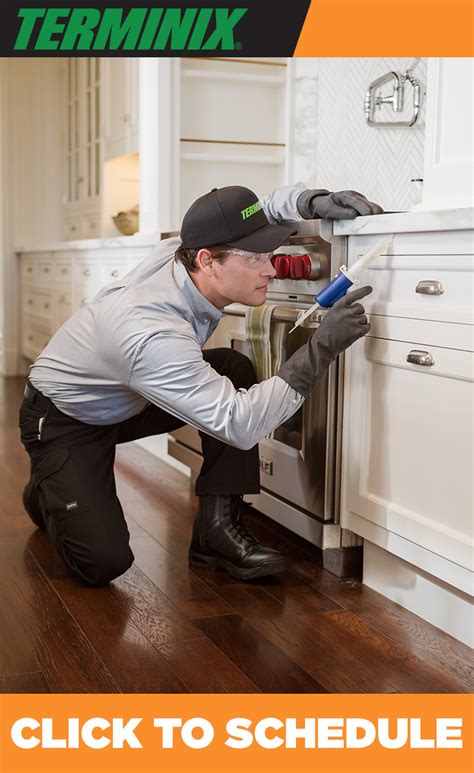 Pest Control Removal Services To Protect Your Home Artofit