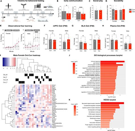 Oxytocin Induced Birth Causes Sex Specific Behavioral And Brain