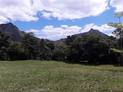 Residential Land Buy In Moka 45000000 Rupees Lexpress Property