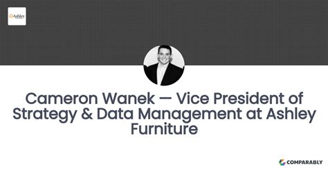 Cameron Wanek — Vice President Of Strategy And Data Management At Ashley