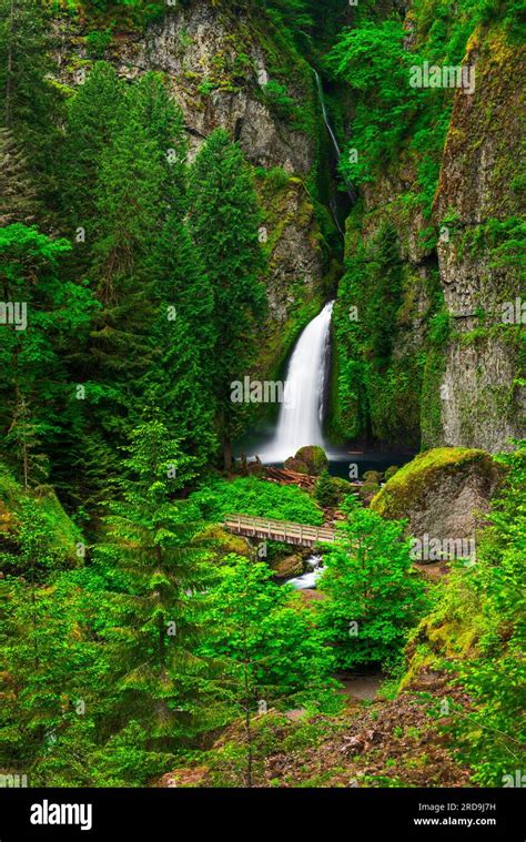 Wahclella Falls Columbia River Gorge National Scenic Area Oregon Usa