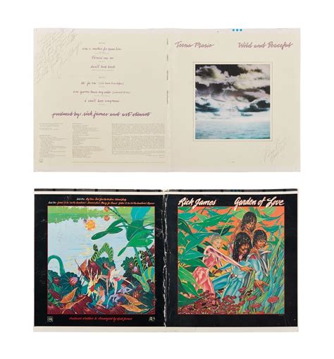 Rick James And Lisa Sarna The Firebrand Behind The Funk