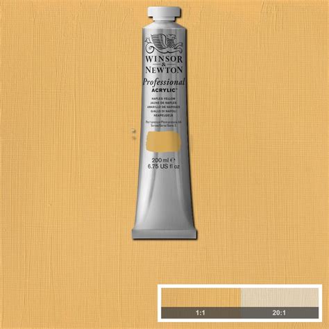 Professional Acrylic Naples Yellow Winsor And Newton Eu