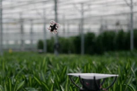 Dutch Engineers Want To Exterminate Insects In Greenhouses Using Drones