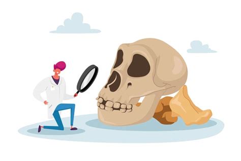 237 Vectores De Stock Y Arte Vectorial De Antropologo Oficio Shutterstock