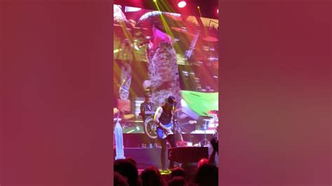 Tuu Tuu Juntti Youtube