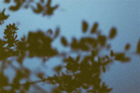 Sasha Taqwšəblu Lapointe — Blue The On Being Project