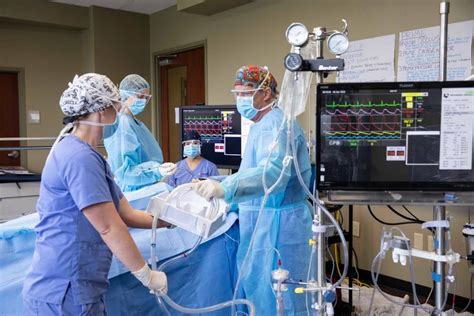 Cardiovascular Perfusion Program Receives Initial Accreditation