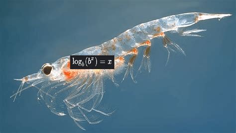 My Kril Log Rrunescape