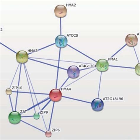 Protein Protein Interaction Prediction Where The Interaction Of Other Download Scientific