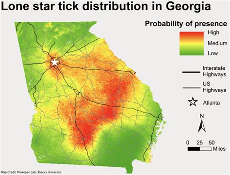 Georgia Researchers Track Tick Borne Diseases Wabe