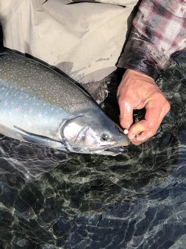 Dave Fish Alaska River Guides In Talkeetna Alaska Captain Experiences