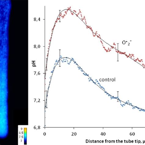Cytoplasmic Ph Gradient Affected By O · 2 ¯ Assessed By Ratiometric