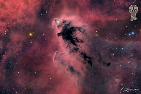 Ldn 1622 The Boogeyman In Orion Apod Grag